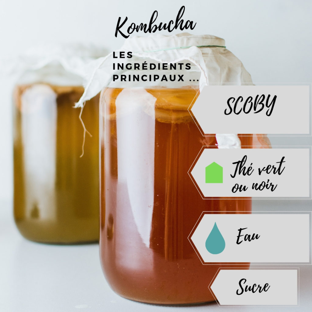 Le Kombucha, une boisson pas comme les autres ! - by melm