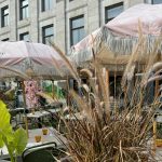 Nouveau restaurant à Montréal : Bouillon Albert - by melm