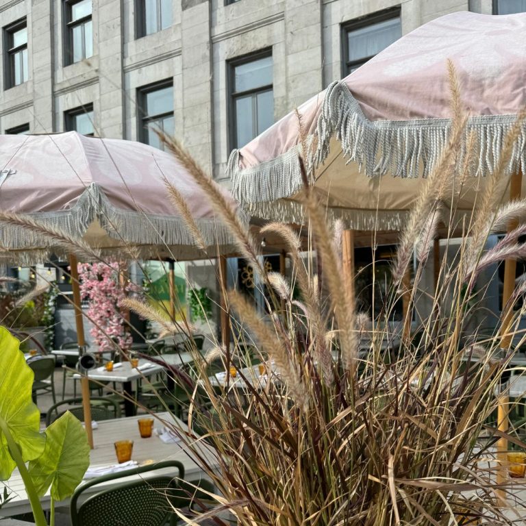 Nouveau restaurant à Montréal : Bouillon Albert - by melm