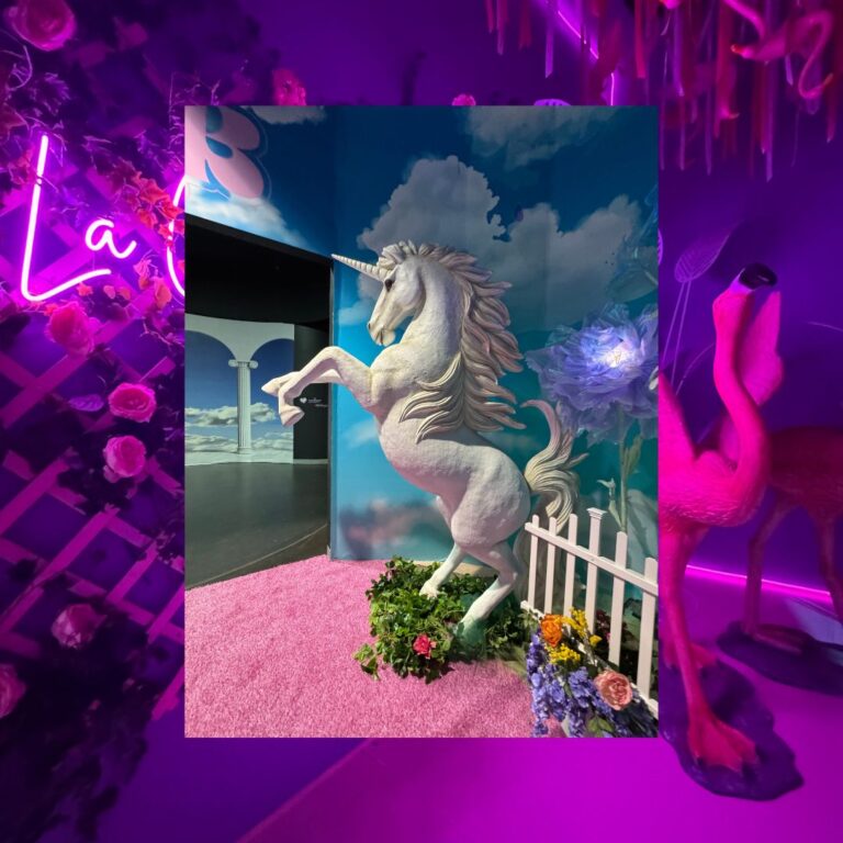 3 livres 1 thème : Jenny Colgan - la série de livres la petite ...